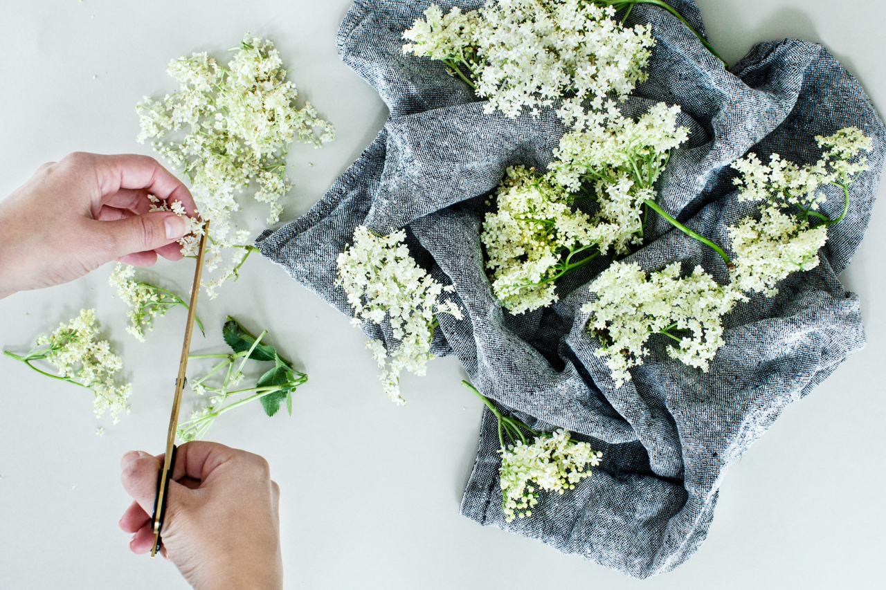 Elderflower Cordial Recipe | Modern Wifestyle